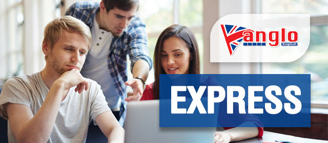 Anglo English: All courses